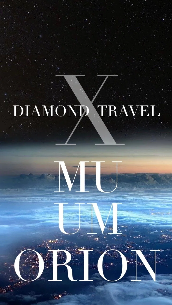 DIAMOND TRAVEL X Profile / Professionals /Work experience｜DIAMOND TRAVEL X