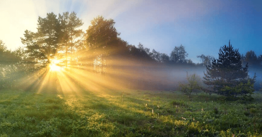 「明確な目的」と言いたくて”mục đích sángと言ったら間違いだった/私のミスを大公開｜LýMỹ南部ベトナム語オタク ...