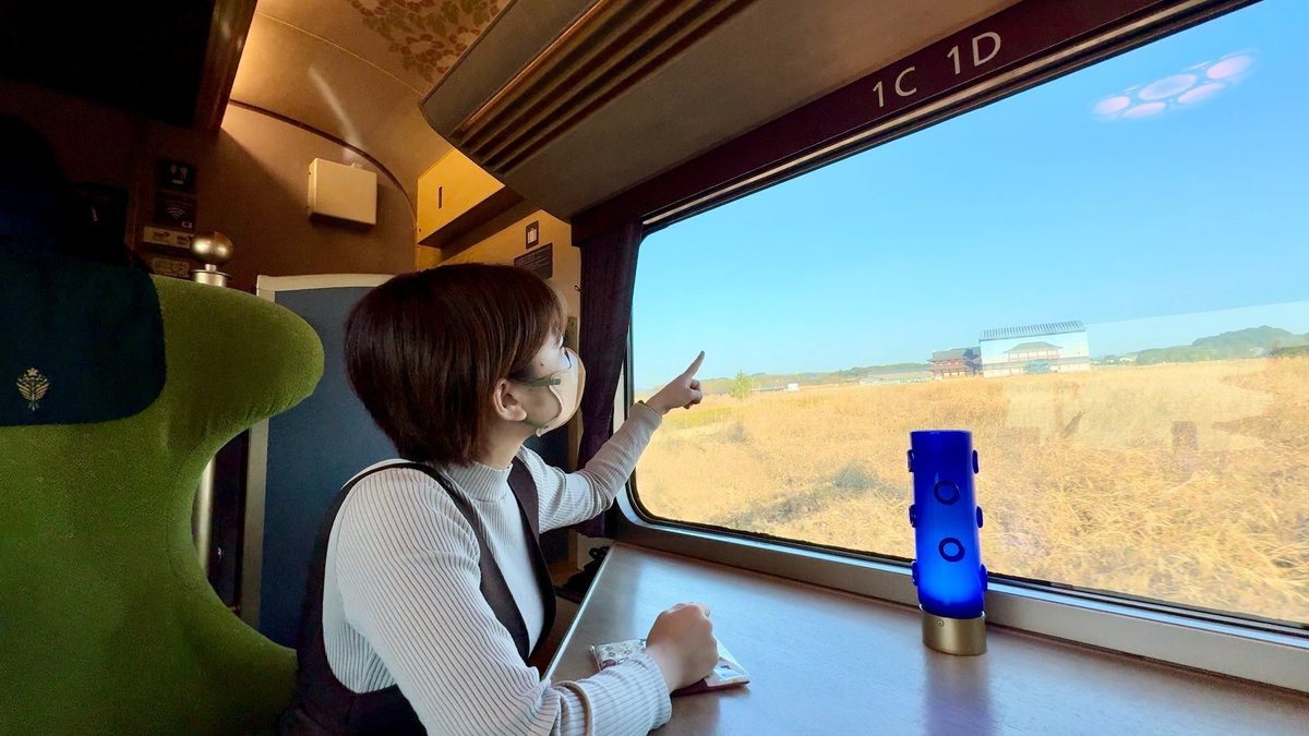 【体験記】奈良を感じる”あをによし”に乗車｜近鉄 観光特急｜ciao tabi