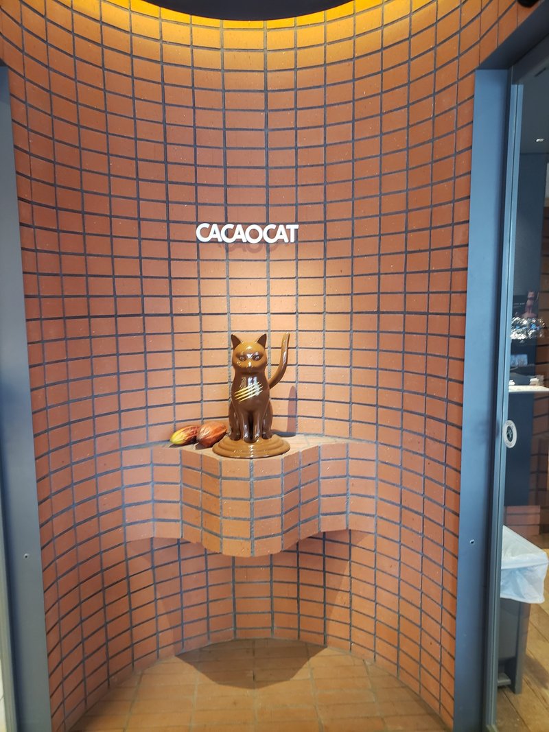 CASA BRUTASの撮影へ行ってきました｜OtsukaYosuke 大塚陽介