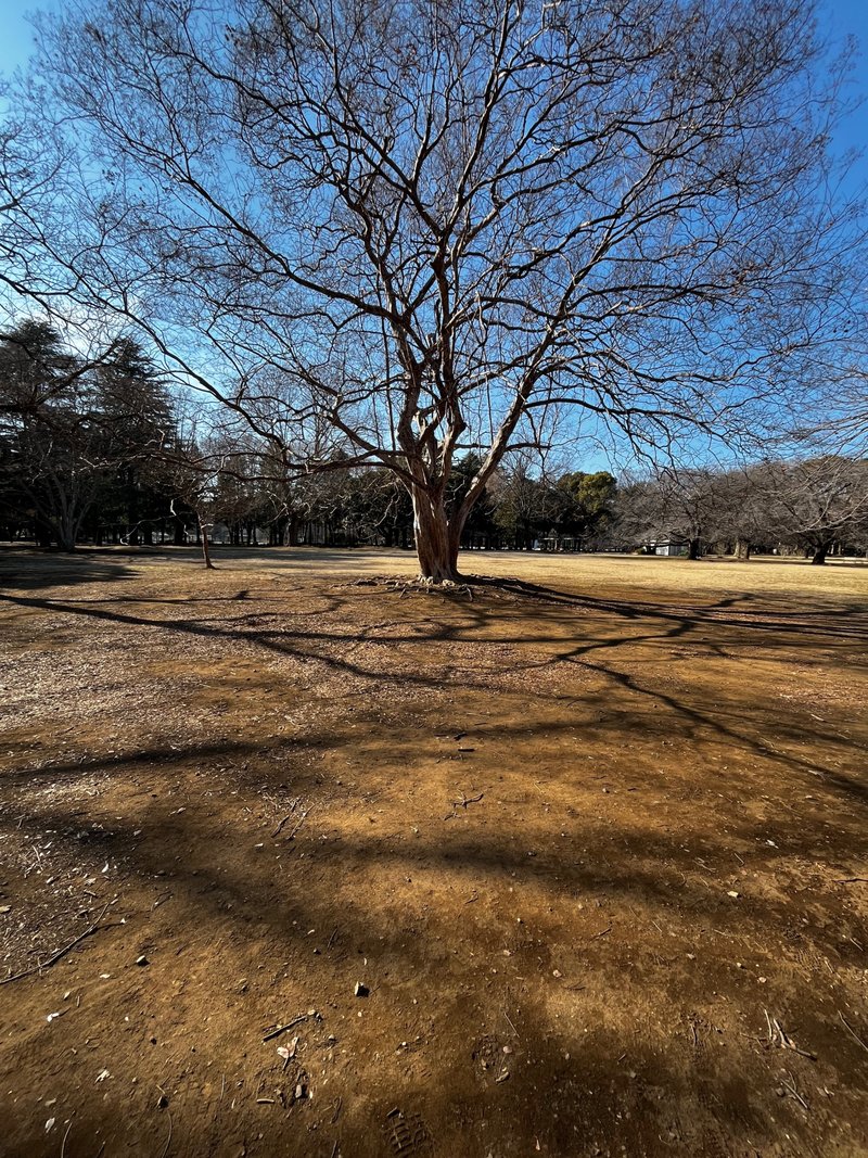 【1000の日々】945/1000｜miki tsukada｜人がアートと出会う場を整える