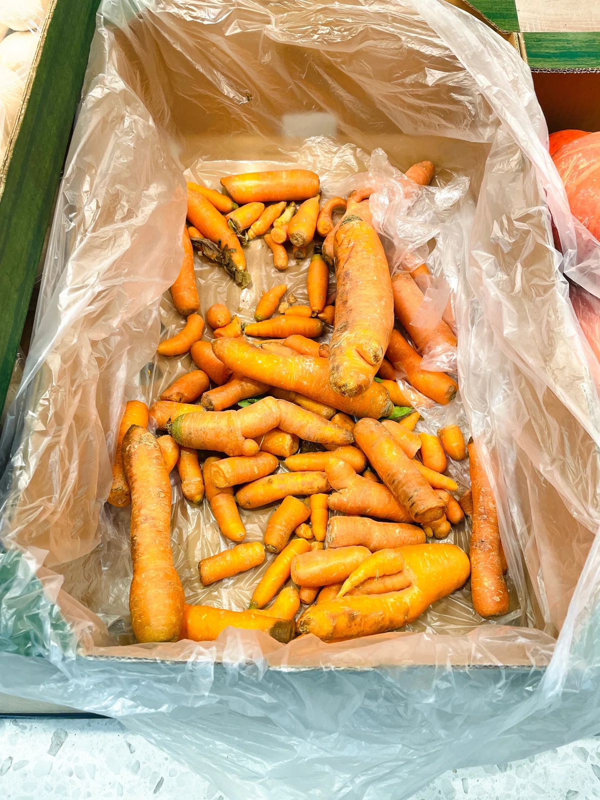 A Logical and Friendly Way to Sell Vegetables | Slovenia Diary #6｜東郷 りん ...