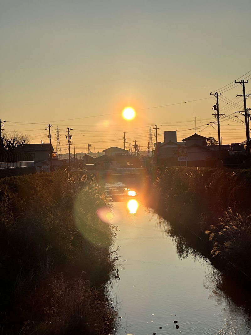 こなつチャンネル(69)2代目の光る首輪｜NicePapa 平野 尚志