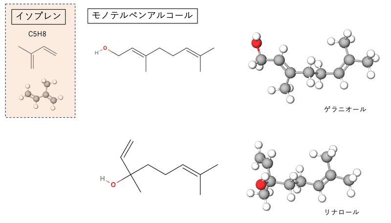 Off Flavor入門〜⑤有機化合物と官能基｜Shiro Yamada