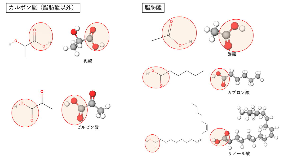 Off Flavor入門〜⑥官能基の続き｜Shiro Yamada