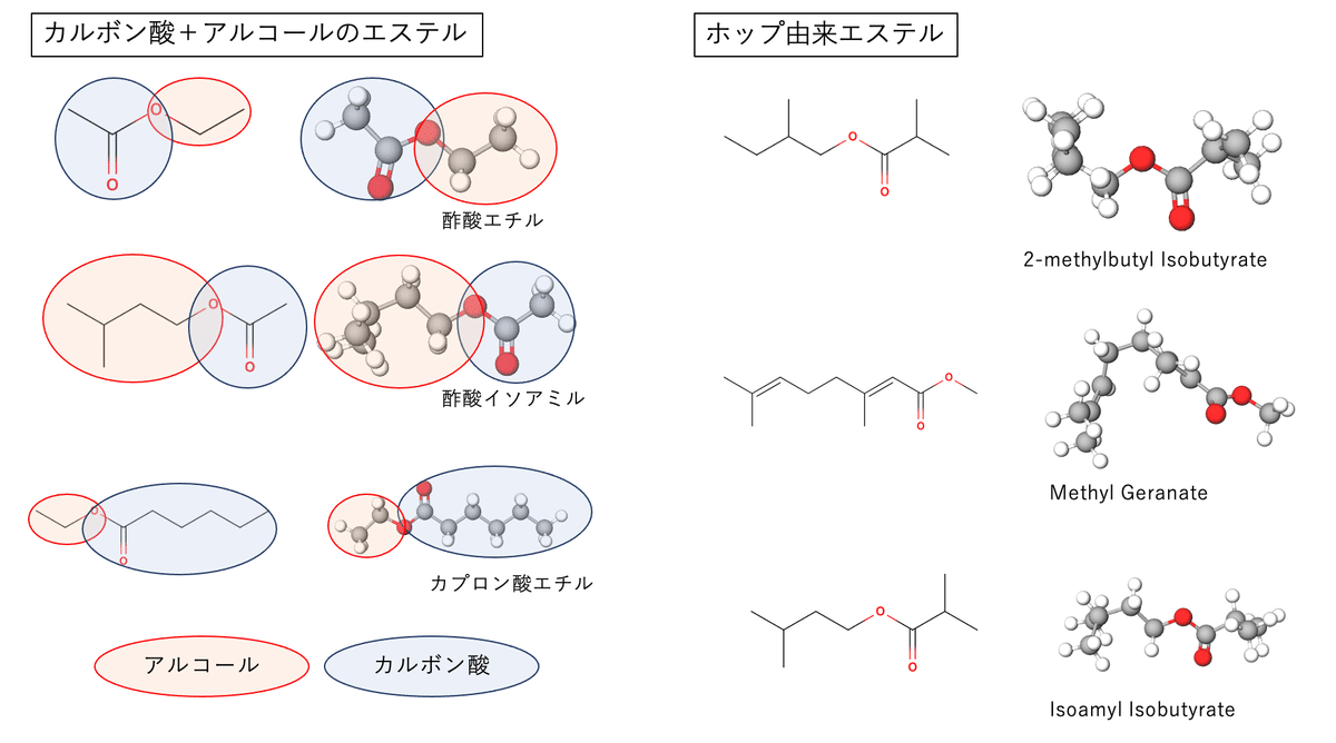Off Flavor入門〜⑥官能基の続き｜Shiro Yamada