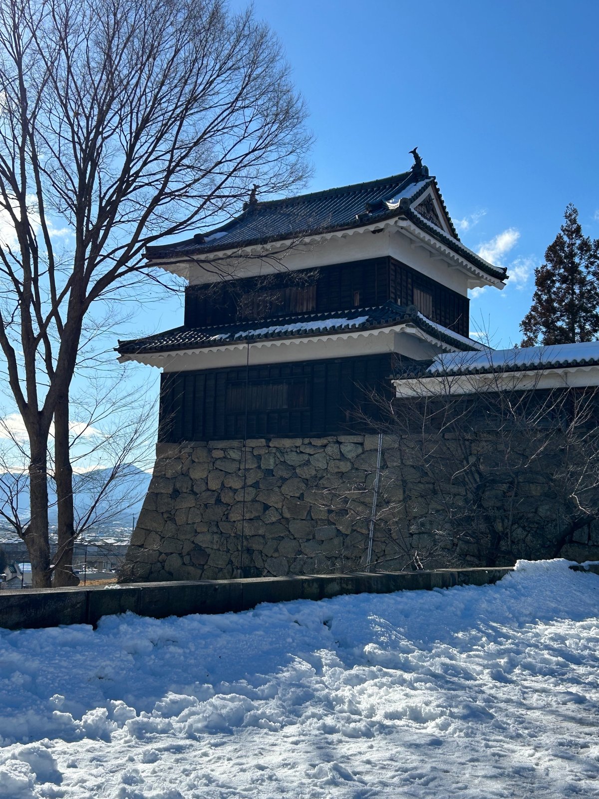 KEN MUJO＠上田Radius 2月10日｜ドリー