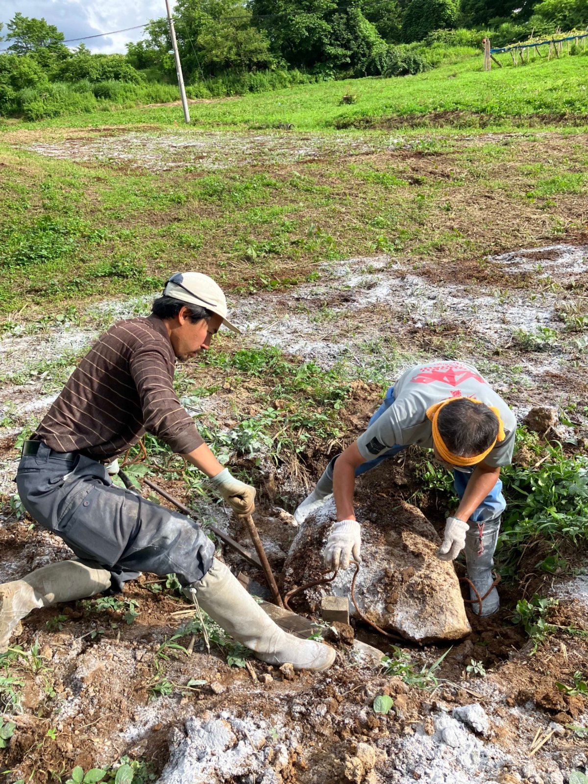 研修2年目 #10｜Shinta Ninoto