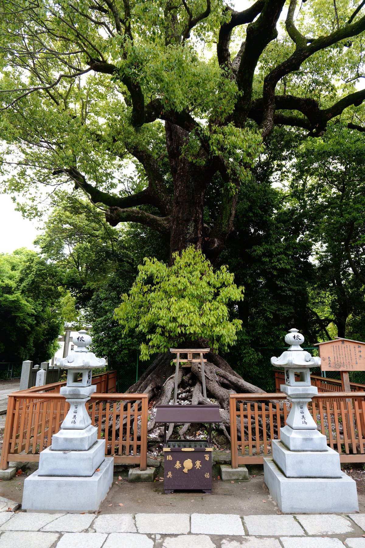 御朱印RTA(T=travel)：全国の一宮の御朱印を授かった話(9/24) 2023年4月その2｜nadir_rl