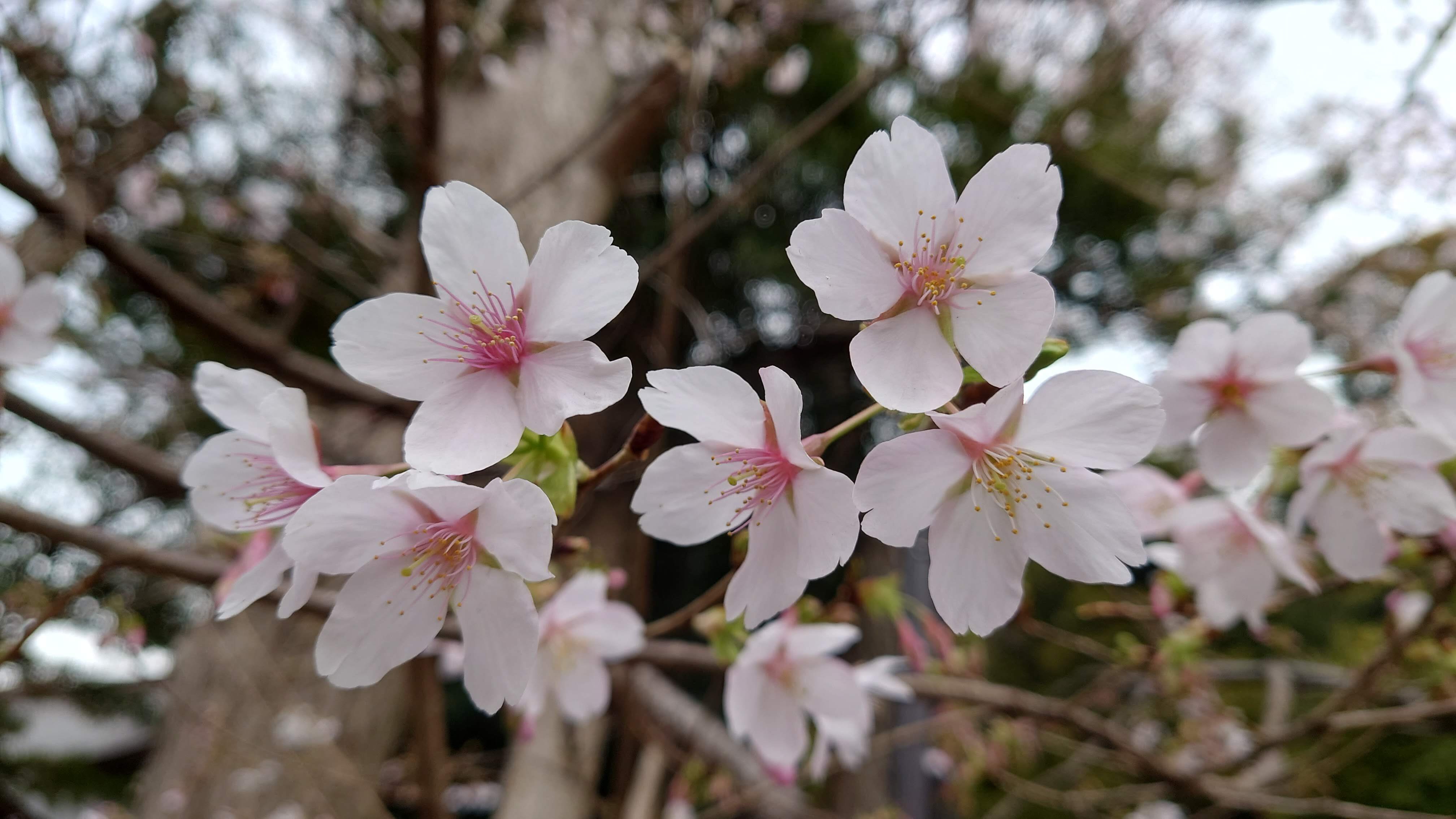 ページタイトル用｜MITSUDA Tetsuo