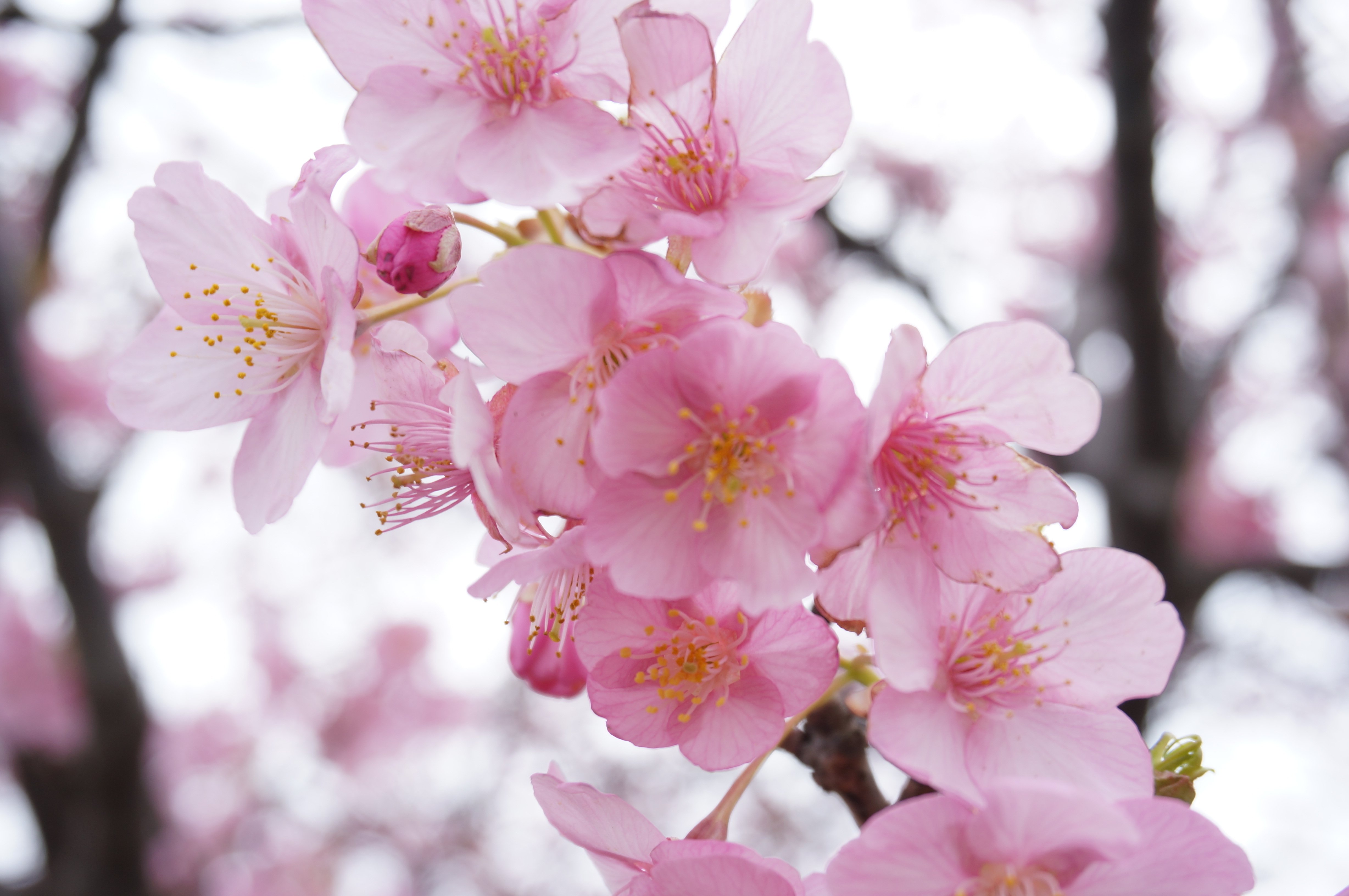 ページタイトル用｜MITSUDA Tetsuo