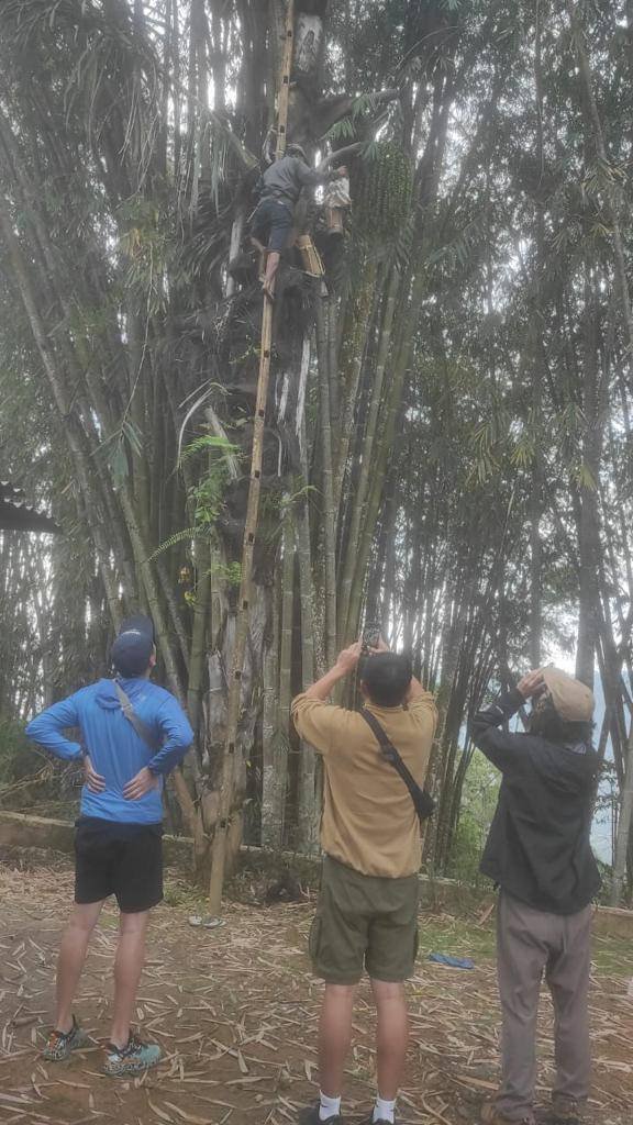 男3人 "ウルルン滞在" 系タナトラジャのディープ旅｜webkio