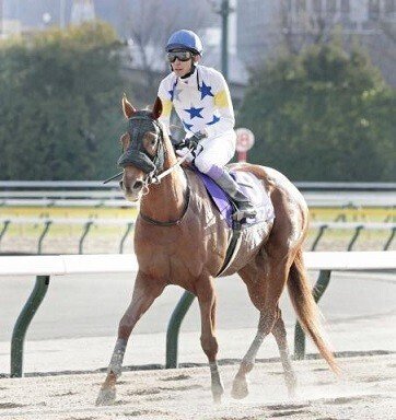 【フェブラリーS（G1）回顧】推奨馬ドゥラエレーデ12着…何処!?｜Haya