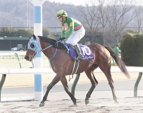 【フェブラリーS（G1）回顧】推奨馬ドゥラエレーデ12着…何処!?｜Haya