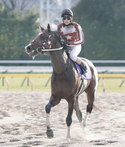 【フェブラリーS（G1）回顧】推奨馬ドゥラエレーデ12着…何処!?｜Haya