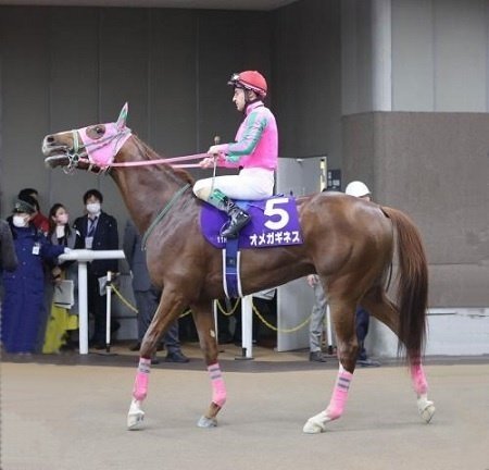 【フェブラリーS（G1）回顧】推奨馬ドゥラエレーデ12着…何処!?｜Haya