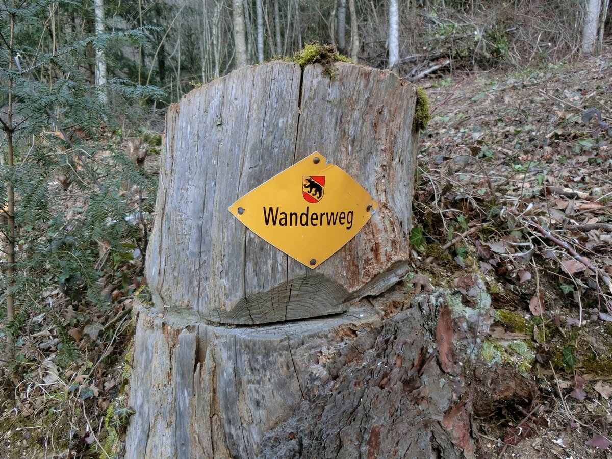 スイス・インターラーケン観光②｜岡田柚香 Yuzuka Okada