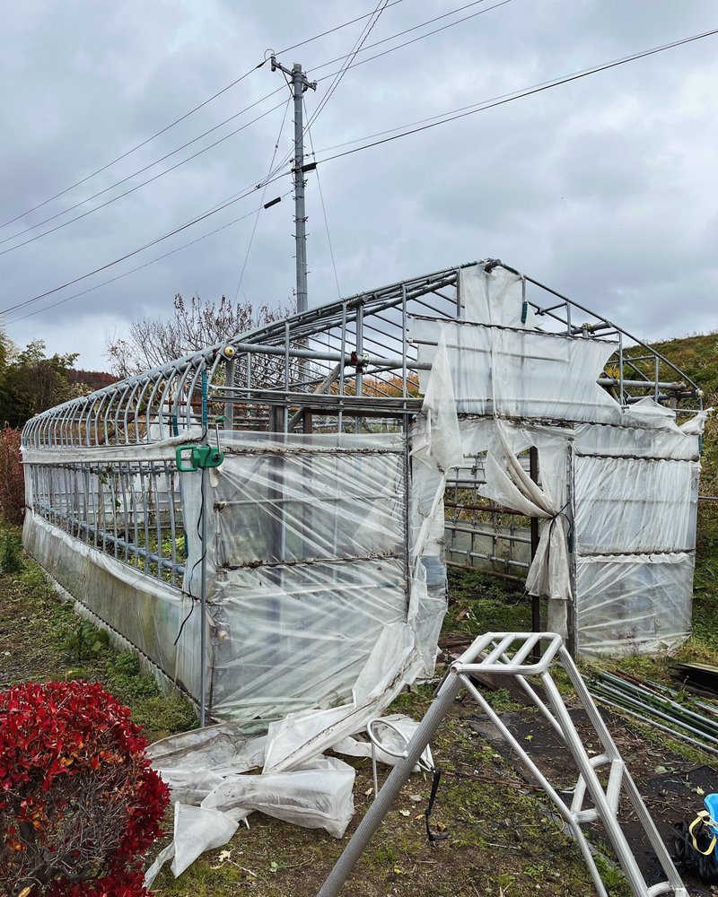 新規就農の苦悩 〜ビニールハウス編〜 #12｜Shinta Ninoto