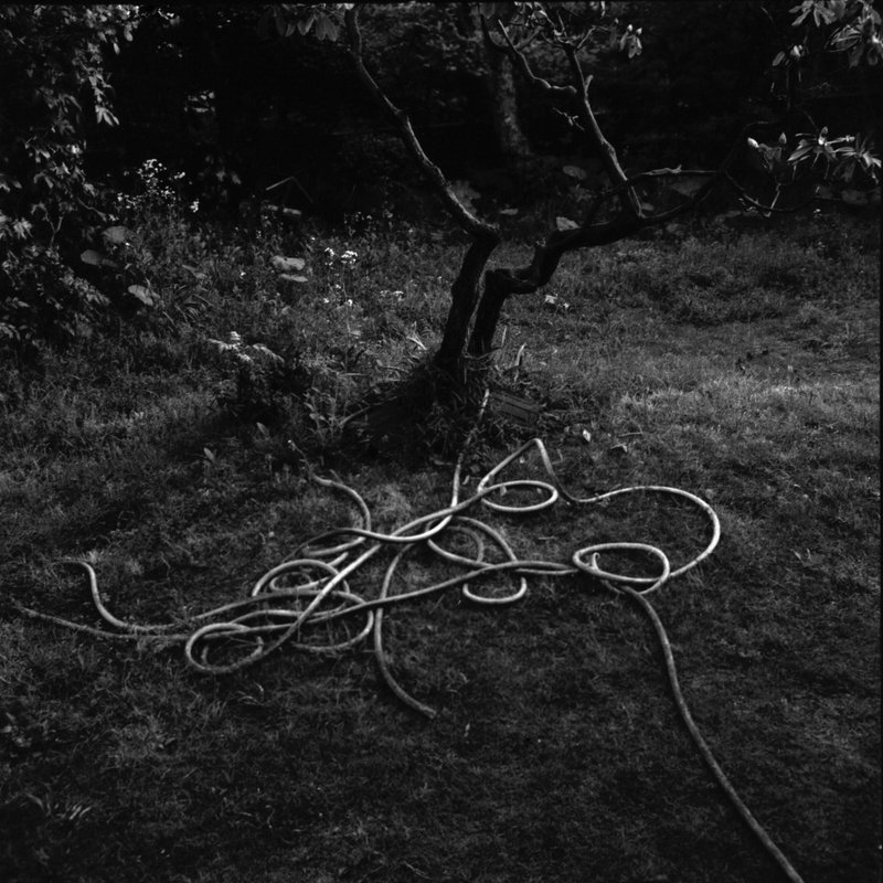 最後の一錠｜OHO KANAKO