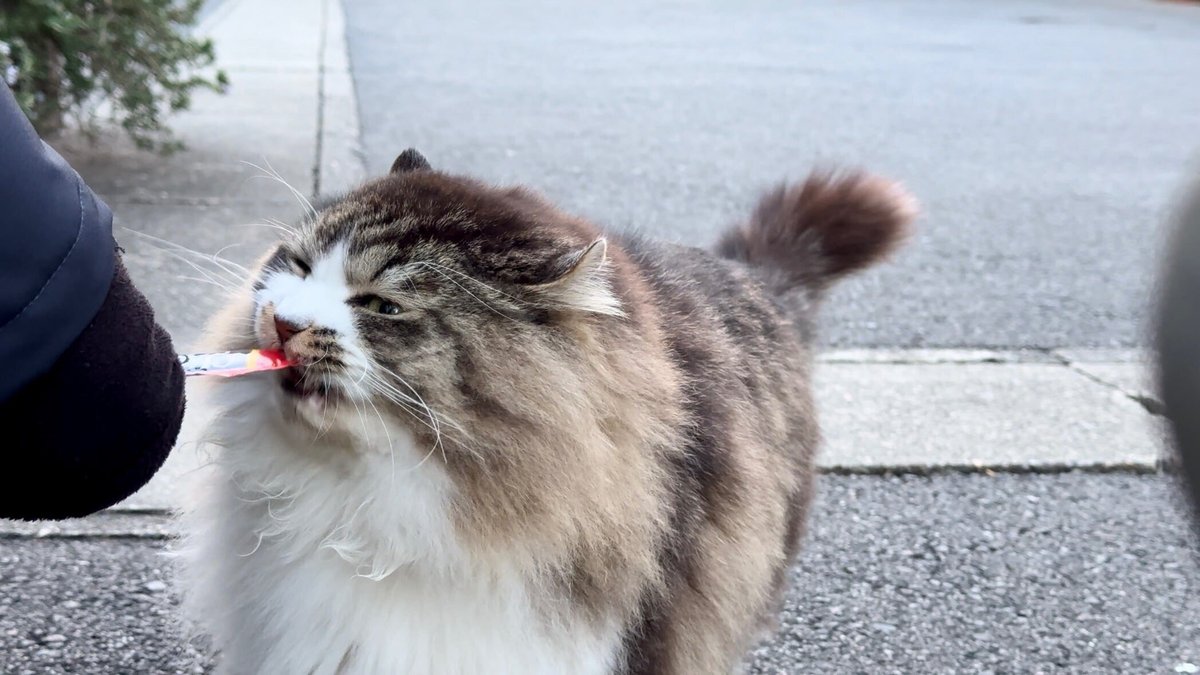志摩地中海村に泊まる｜まわりゃんせ旅行記｜ciao tabi