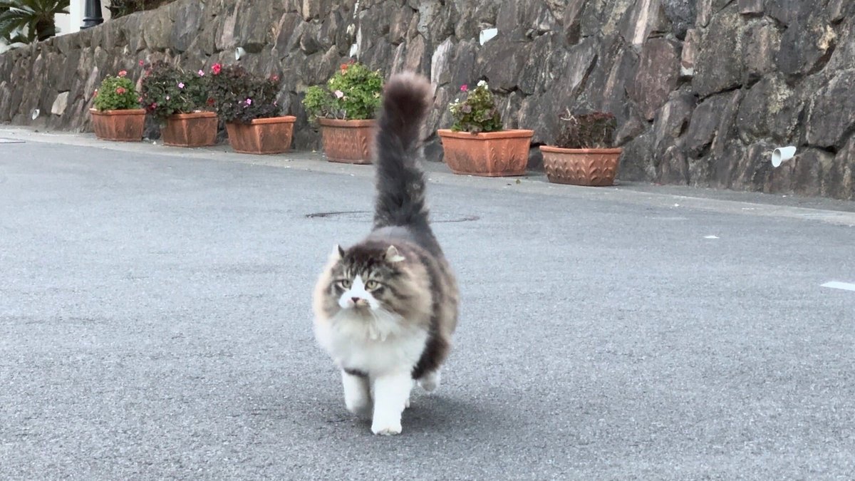 志摩地中海村に泊まる｜まわりゃんせ旅行記｜ciao tabi