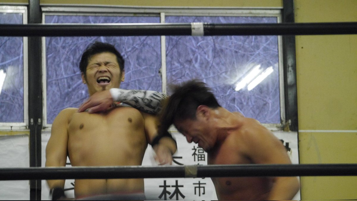 MUSASHIでこんなに泣くはずじゃ｜ハト