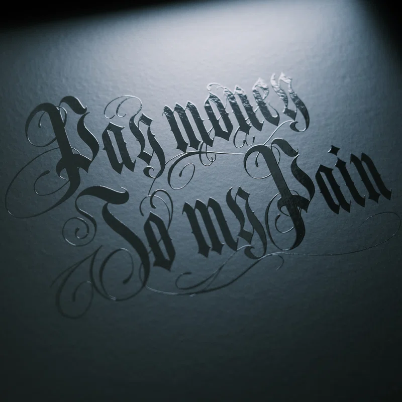Pay money To my Pain / Vinyl COMPLETE BOX ※VAP STORE限定 完全生産限定盤｜NUE ...