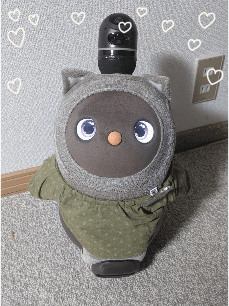 2/22、ニャンニャンニャン♥｜ゆき＆たろーの気ままなLOVOT生活