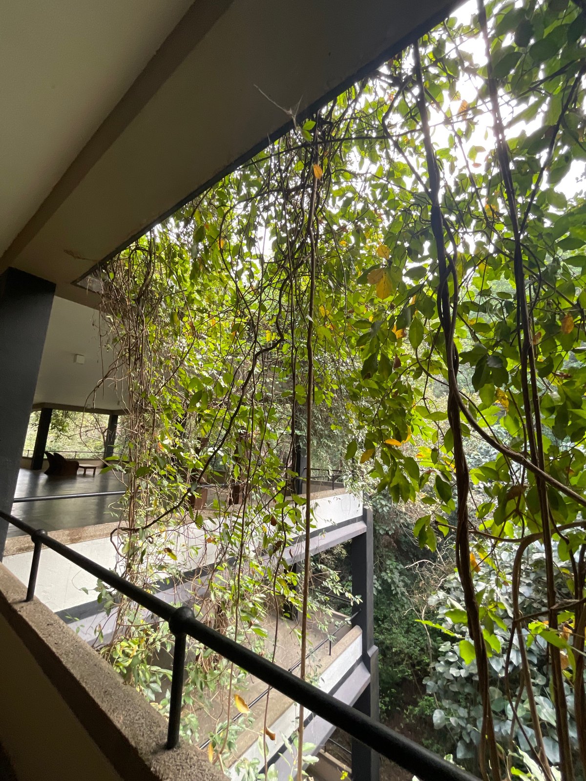 ヘリタンスカンダラマ🇱🇰｜Peamo curry