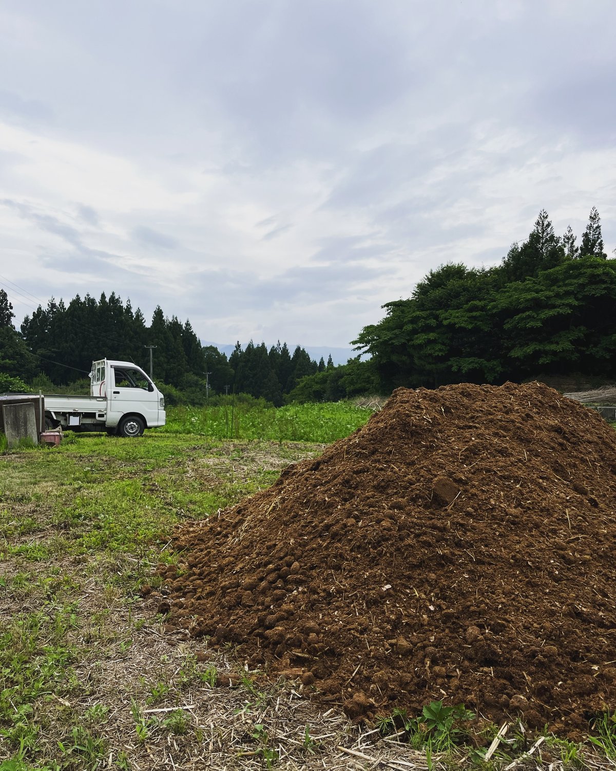 新規就農の苦悩 〜開墾編〜 #13｜Shinta Ninoto