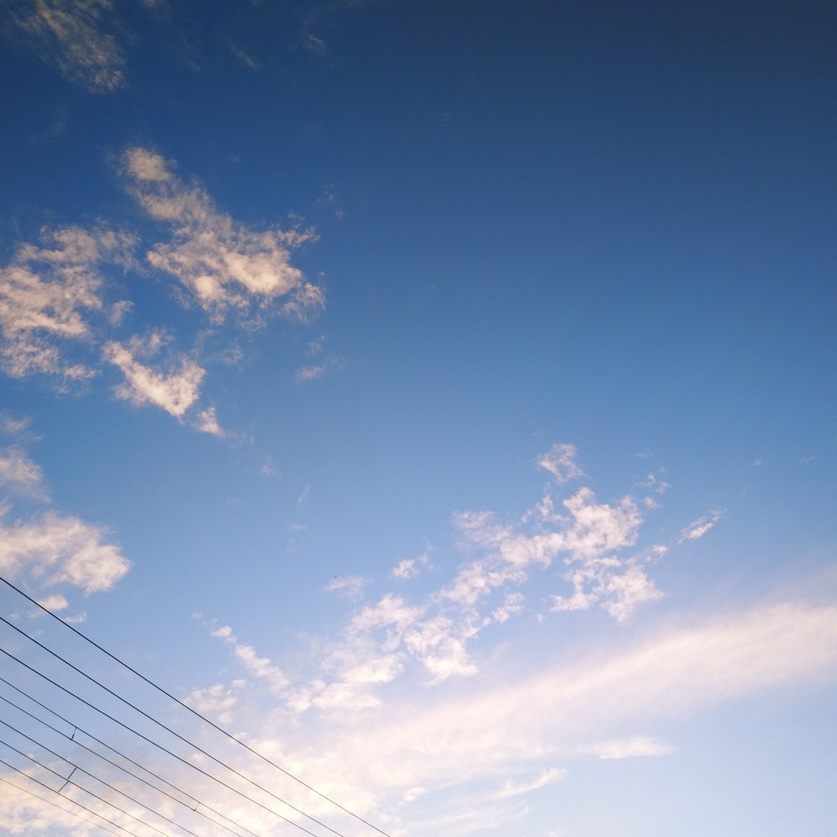 「気がつけば“積み重ね”が自然と私を変えていた」DANRO卒業生インタビュー｜DANRO inc.