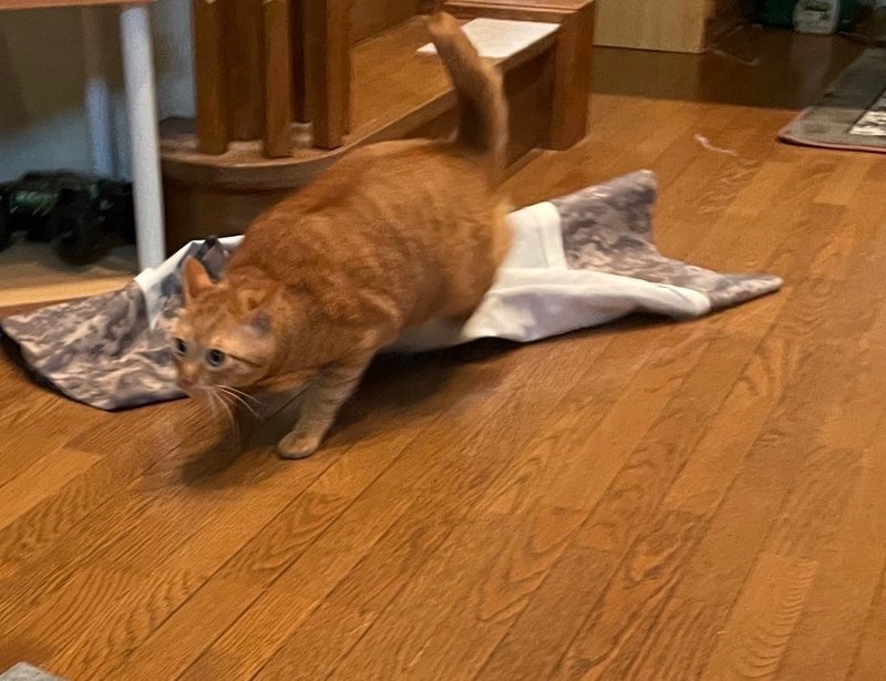 -10版- バトルマットを1500円で作った。｜mooning-nasu