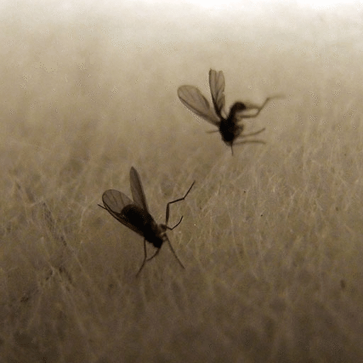 白い光（強力魔法）1333｜CoCoRo_no中の君