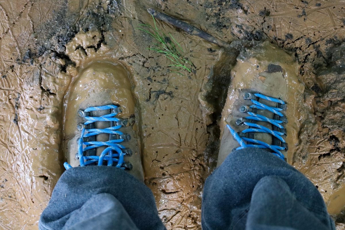 ワイナリーの完成と、私たちの新たな挑戦｜阪本開 | SHINDO WINES