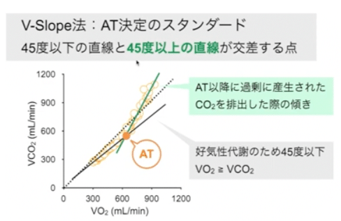 第59回理学療法士国家試験 午前1−5の解説｜Sixty_valleyのページ