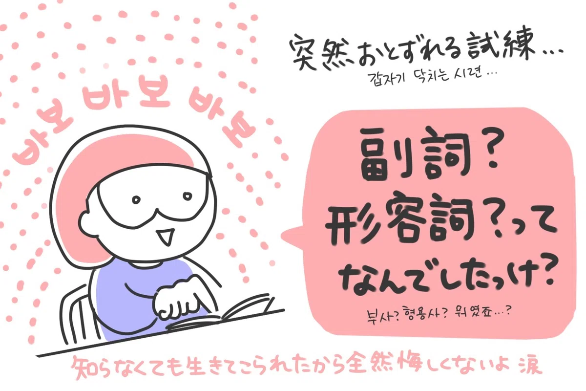 33才、とつぜん韓国語をはじめる。｜Tomoko Hamada