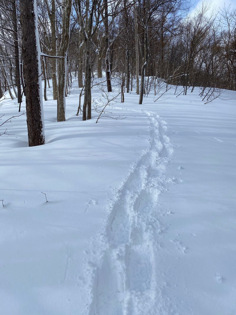 山行記録：和宇尻山（R6.3.3（日））｜kakbock（登山社労士）