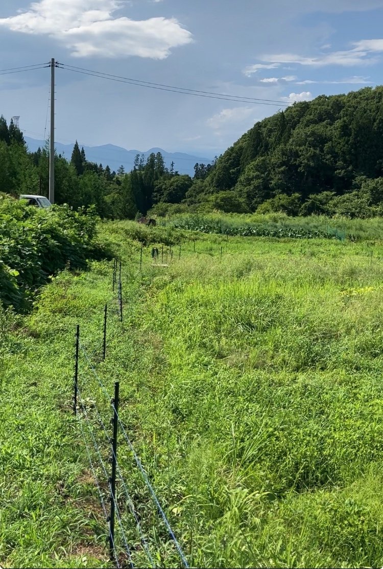 山に境界線はあるのか #15｜Shinta Ninoto