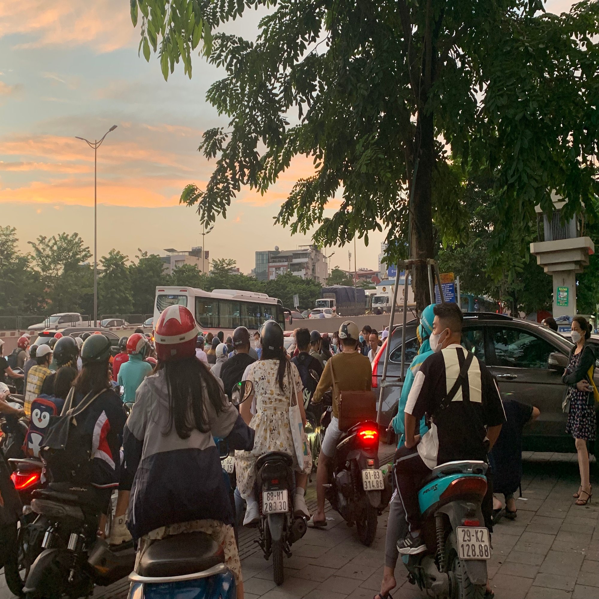 上田一輝｜Ikki Ueda