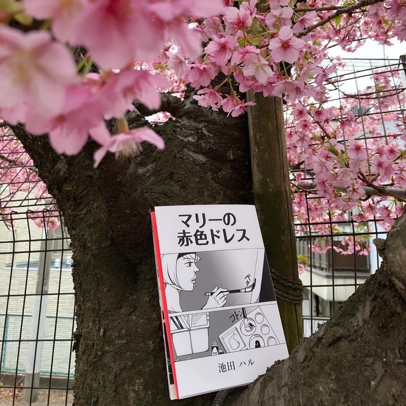 新刊「マリーの赤色ドレス」3/10 ＠九州コミティアからスタートします。｜Hal Ikeda 池田ハル