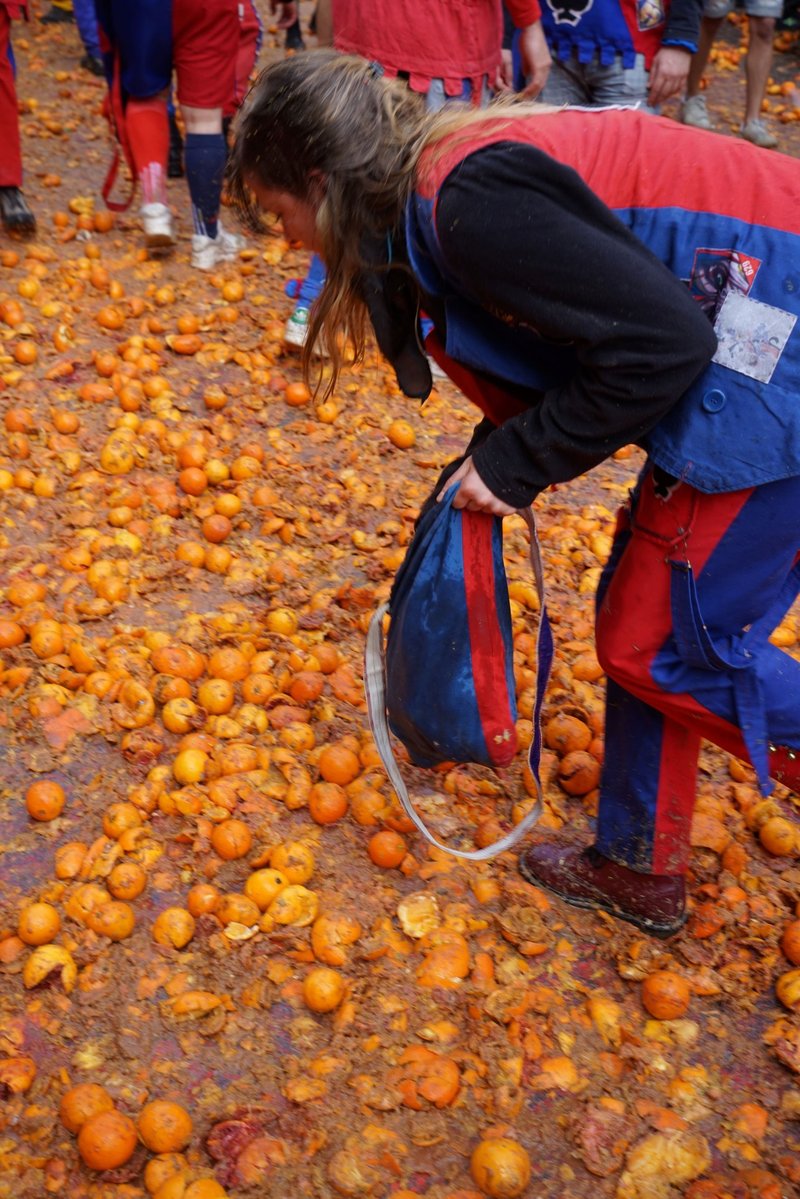 イヴレーアのオレンジの戦い｜J plus S