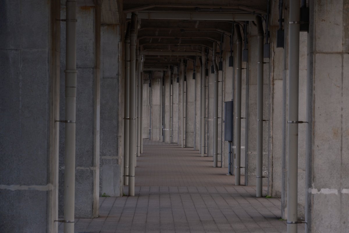 カメラを買い替えました｜t_rnado