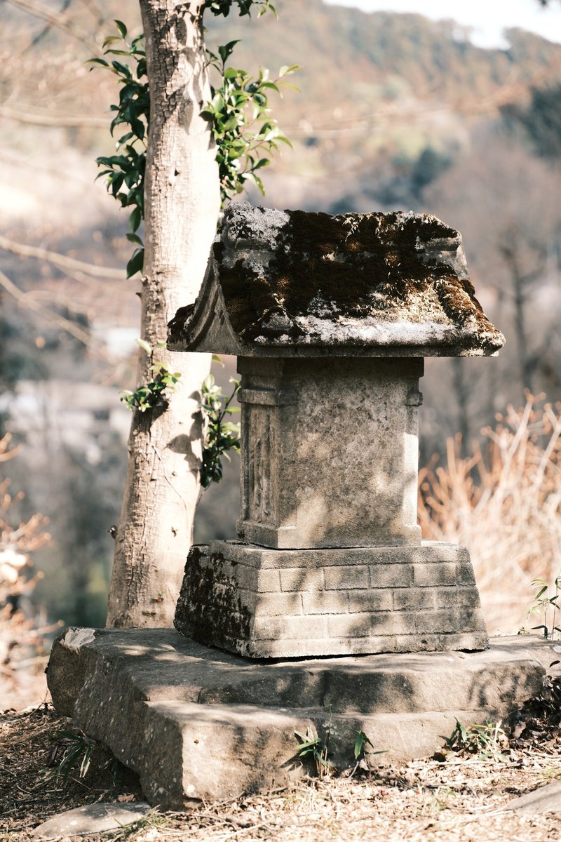 カメラを買い替えました｜t_rnado