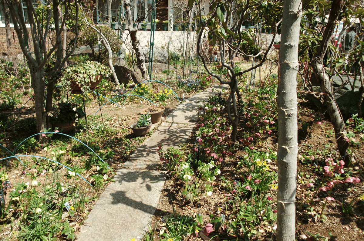 雪月花4To the Cuckoo を読む｜eiko