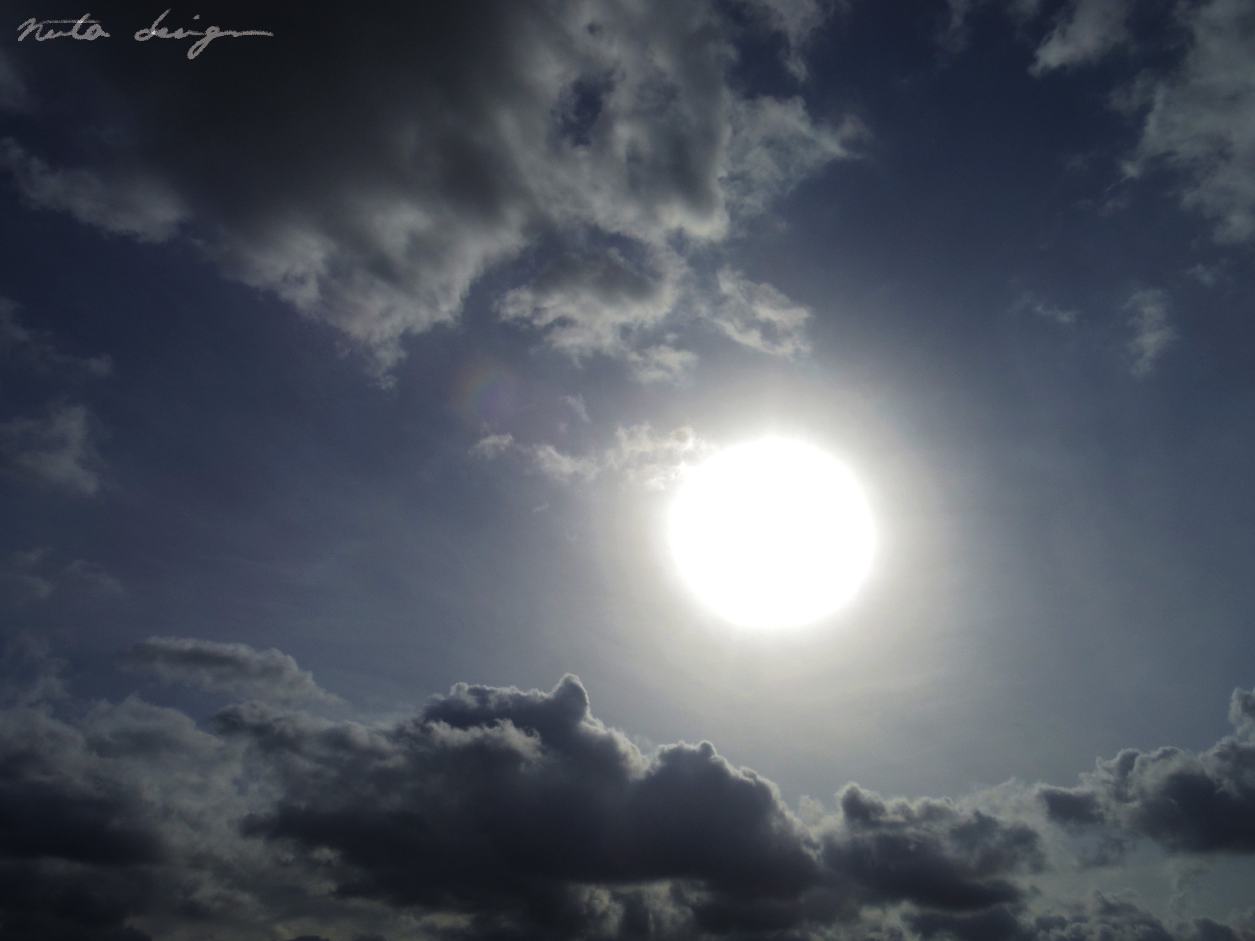 彩が春に向かっていて｜nuta design