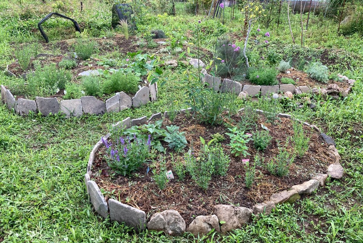 畑を耕して花壇をつくる｜puutarha teetä