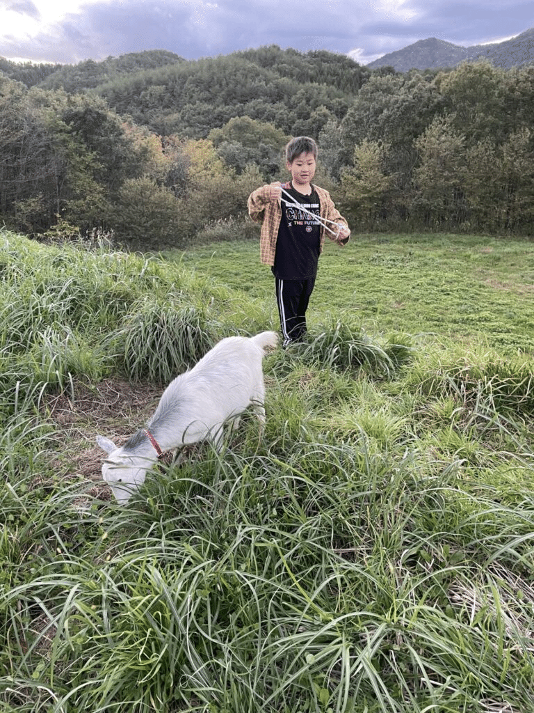 珠洲市の復興を考えてみる｜Osada Takuya