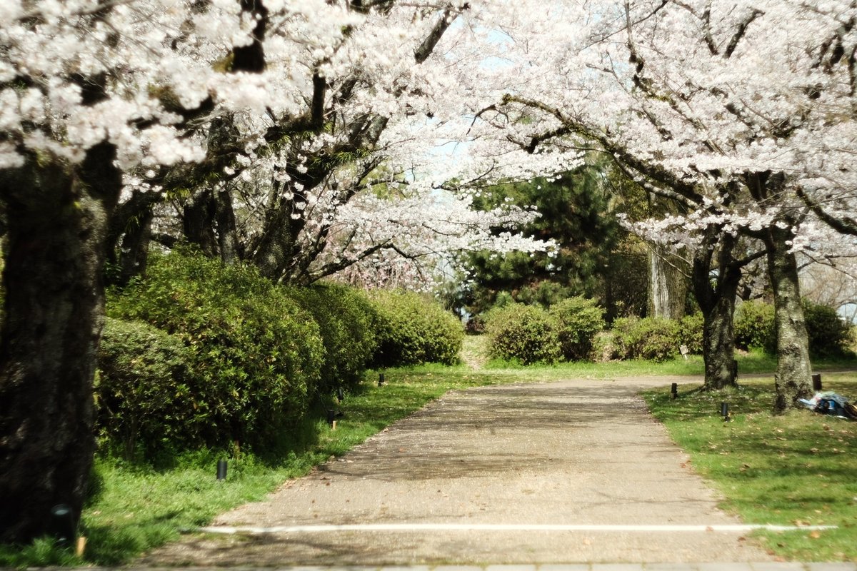 [gururi note] a new chapter｜gururi.coffee