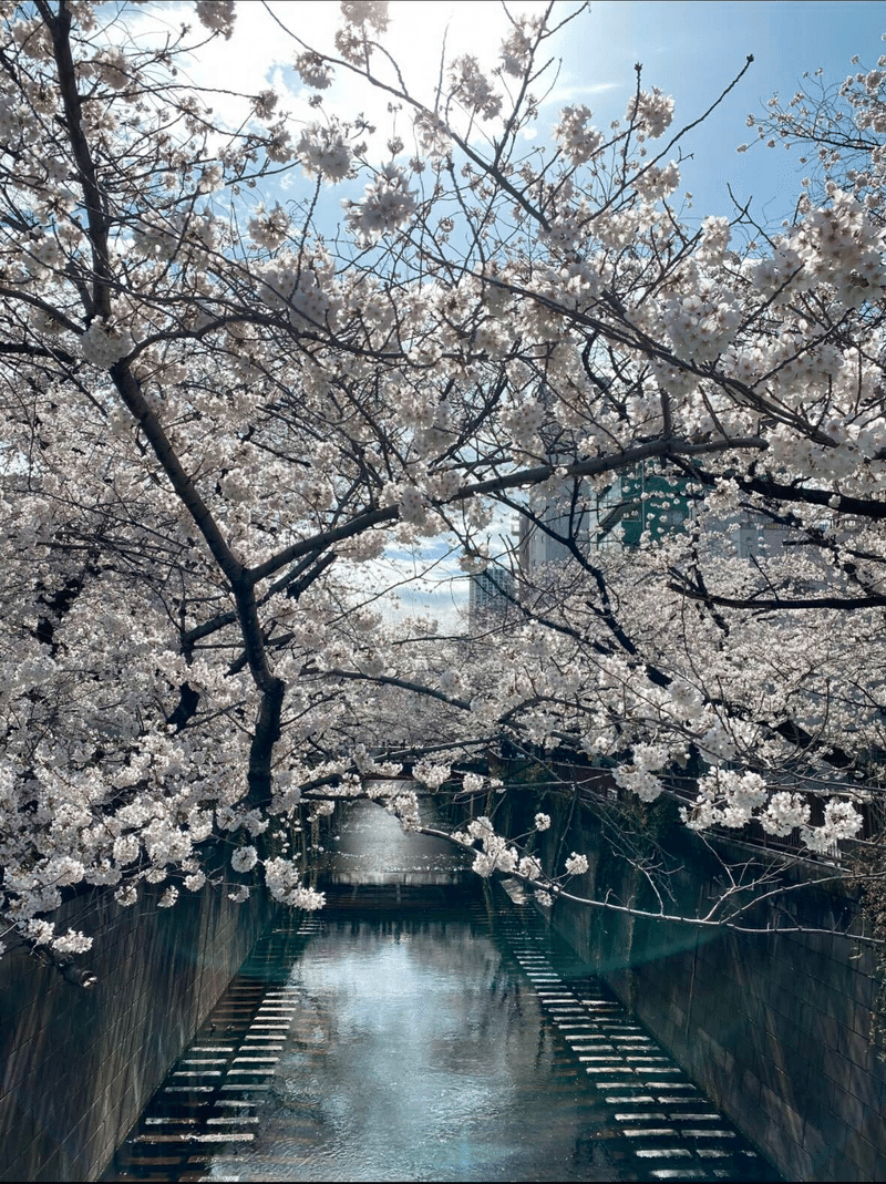 女性のための東京家購入ガイド -case: yuko-｜Yuko Kawashima | 川島 優子