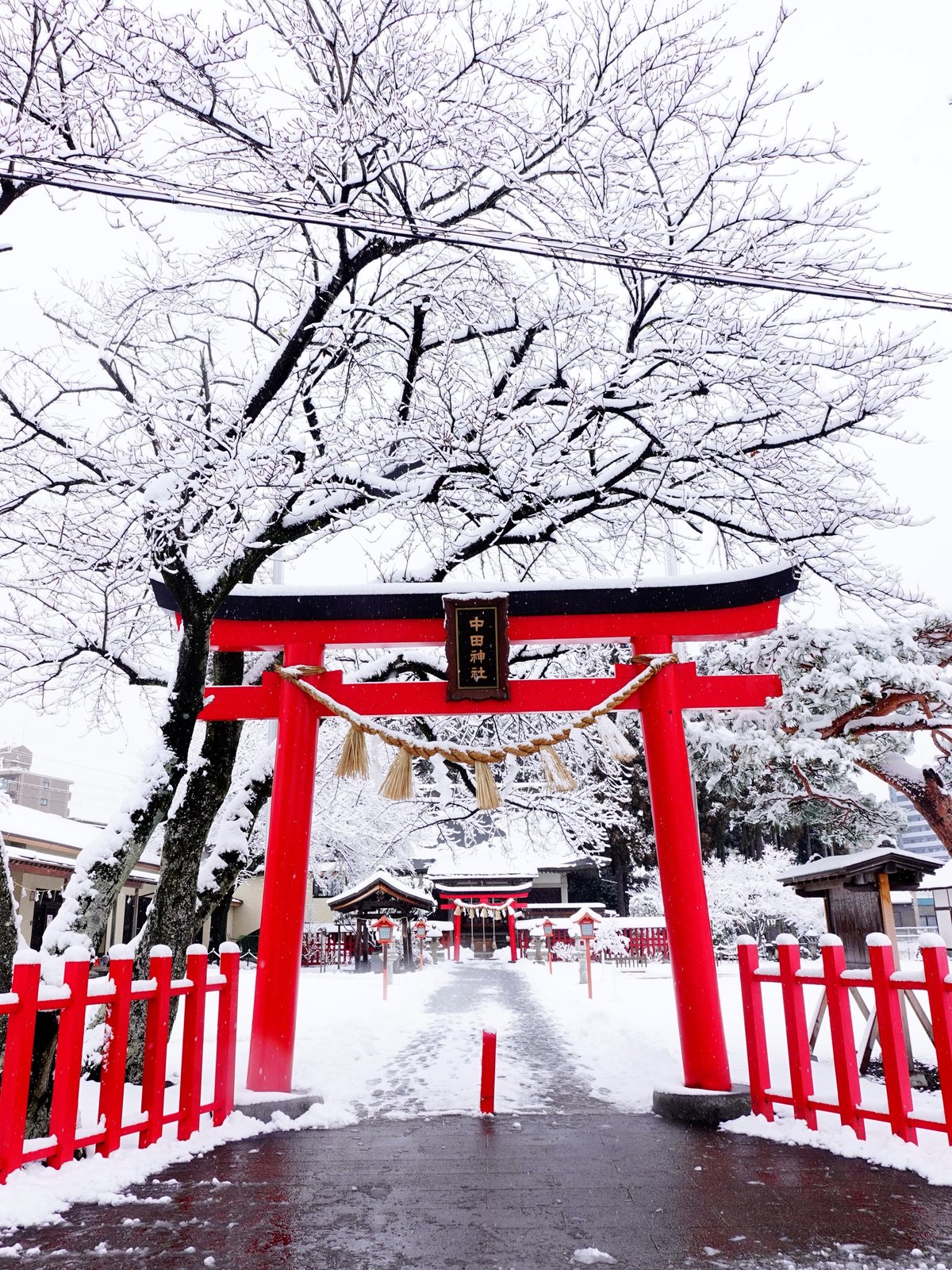 雪の「南仙」中田神社｜oichan